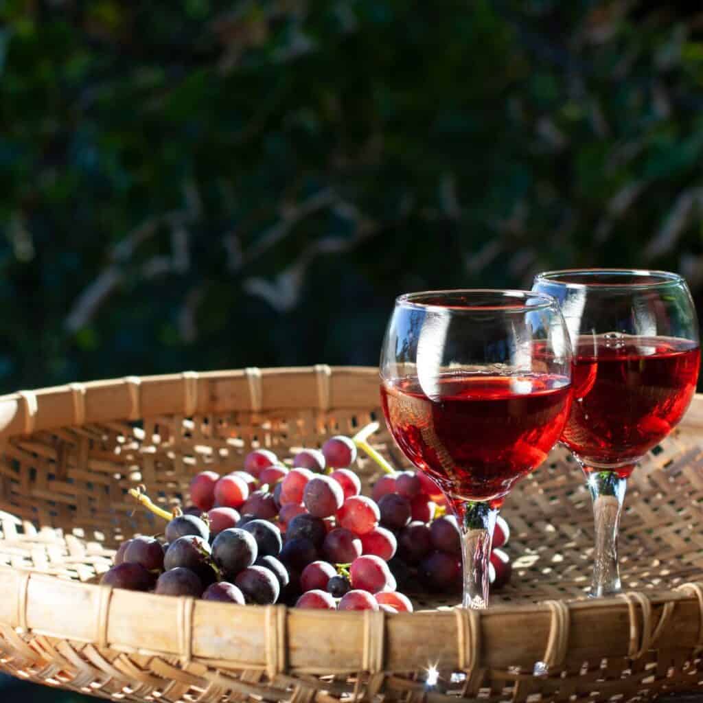best wineries in Central Otago in New Zealand